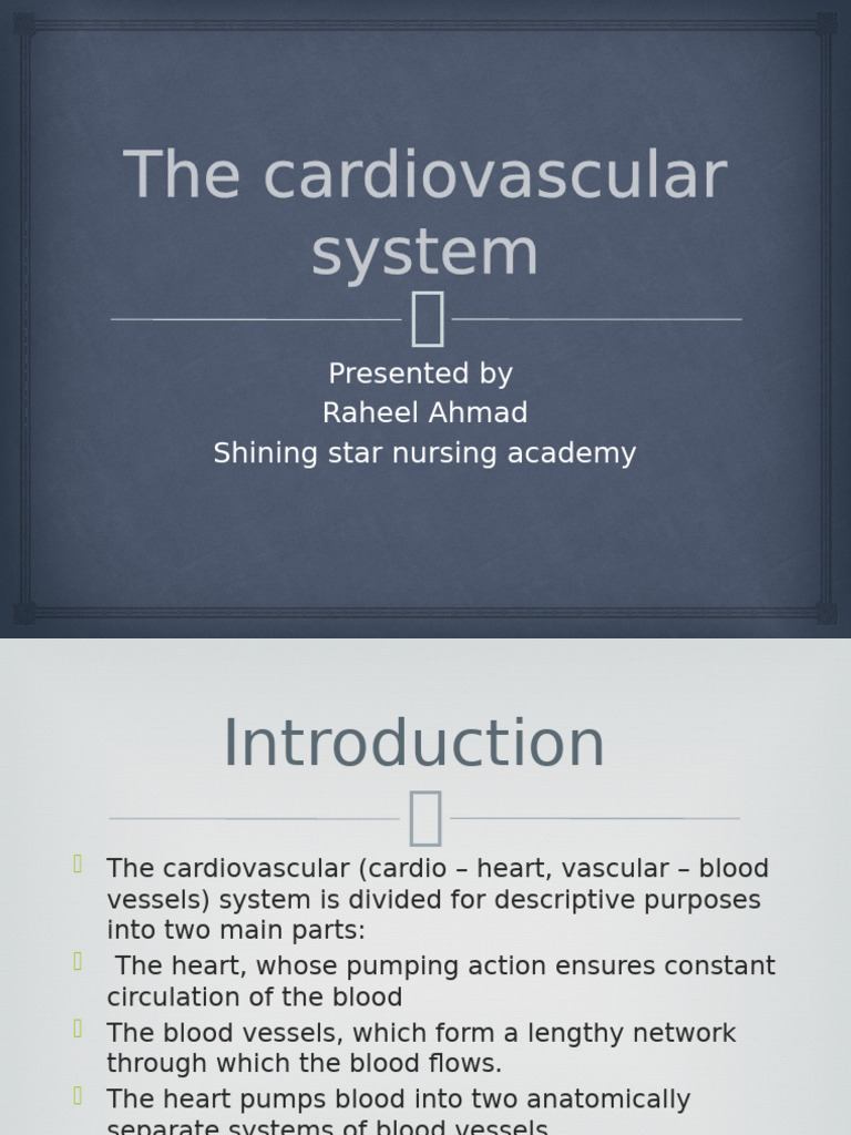 Overview of the Cardiovascular System | PDF | Heart Valve | Aorta