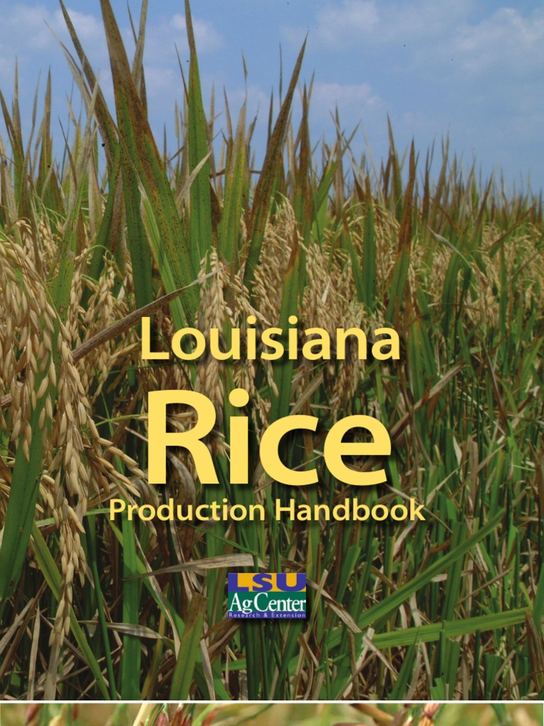 Rice Production Handbook | PDF | Tillage | Rice