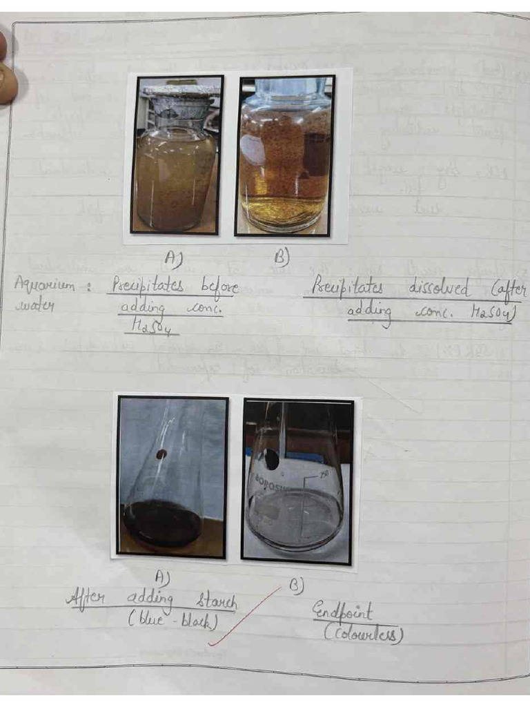 Practical-4 (Dissolved Oxygen) | PDF