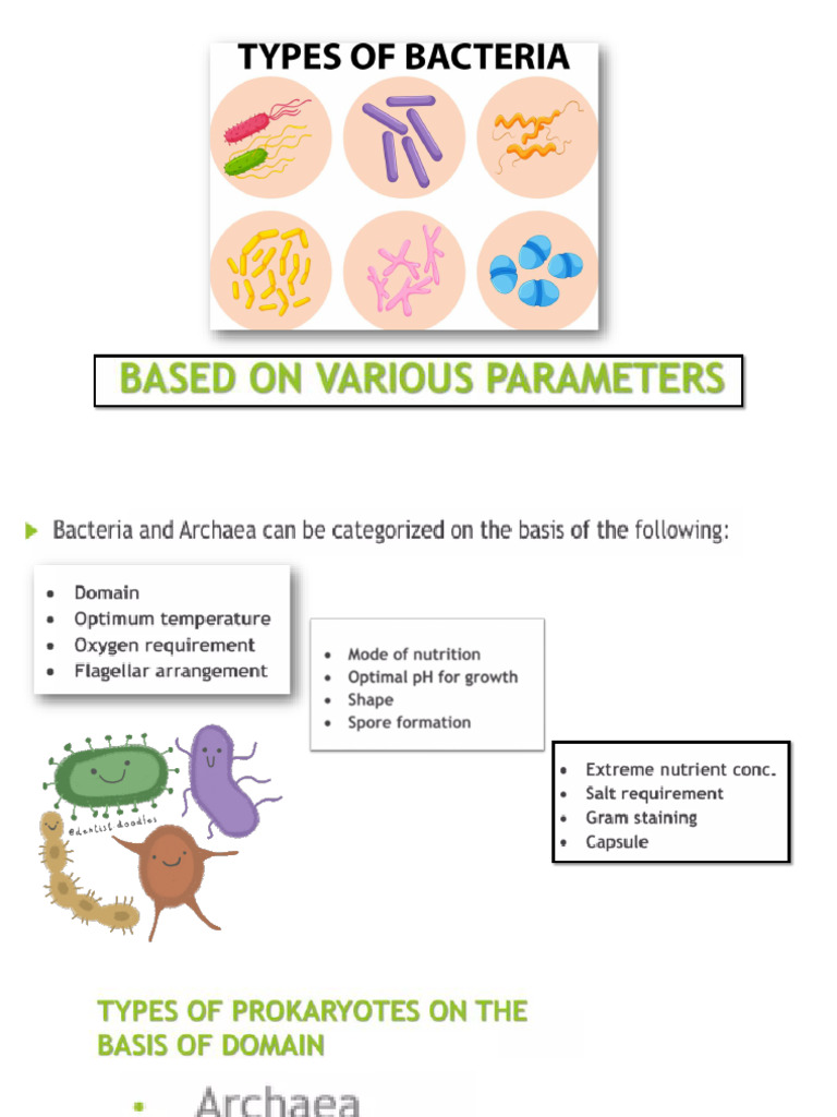 BACTERIA-CLASSIFICATION | PDF