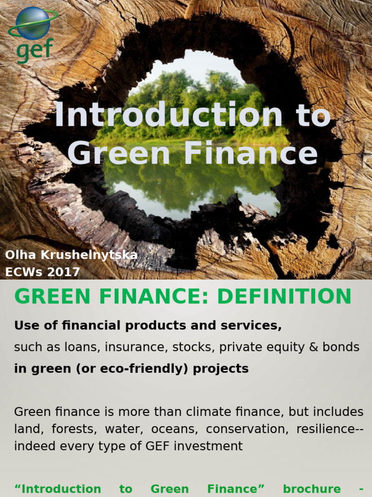 Introduction to Green Finance Overview | PDF | Debt | Loans