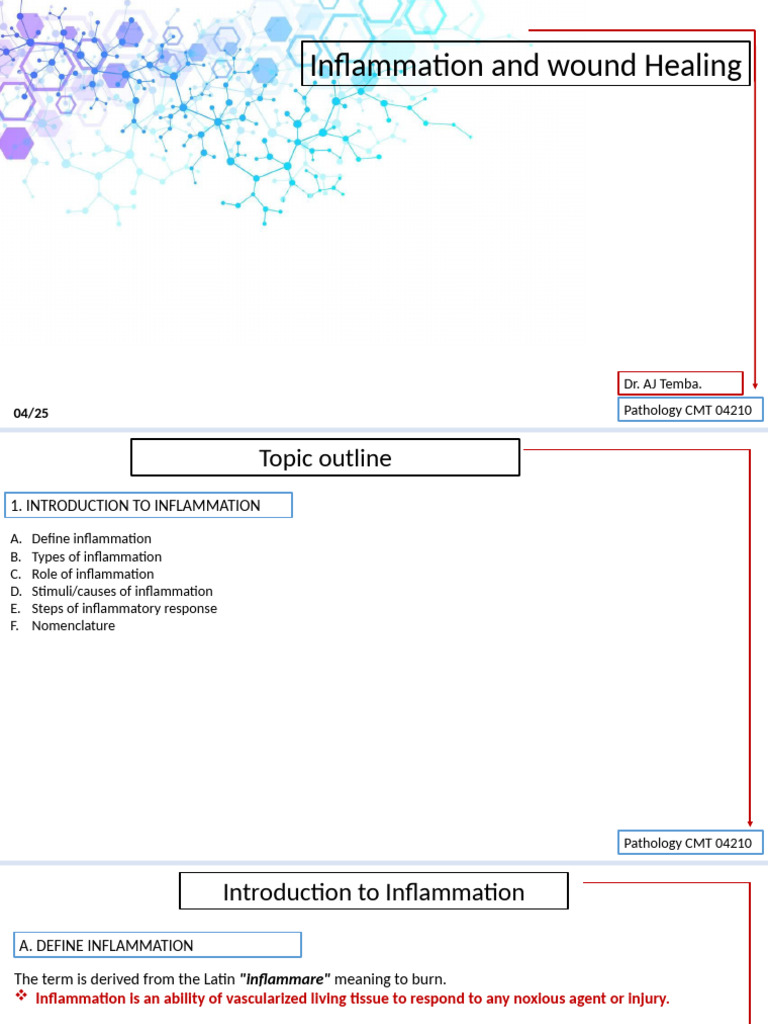 Introduction To Inflammation 25 | PDF | Inflammation | Immune System