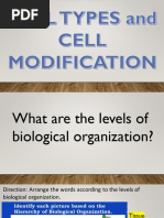Rose Seck - Spiraling HW Circulatory System 1675195743234 Sc.pdf.Kami ...