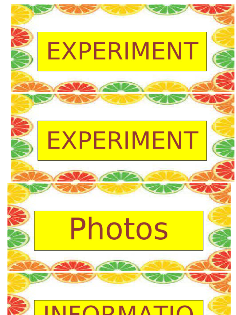 Science Fair Border Design Ideas | PDF