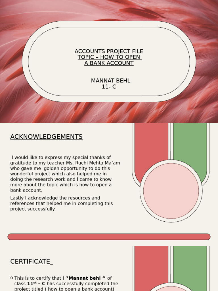 Accounts Project File | PDF | Transaction Account | Banks