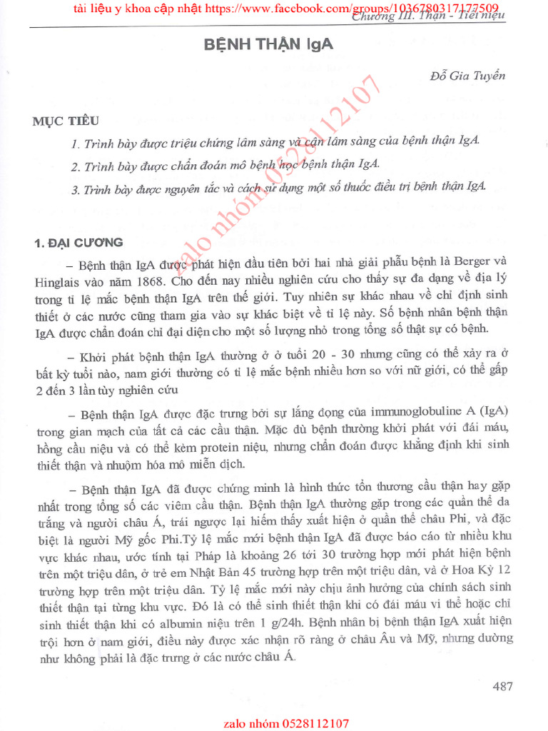 Bệnh Thận IgA | PDF