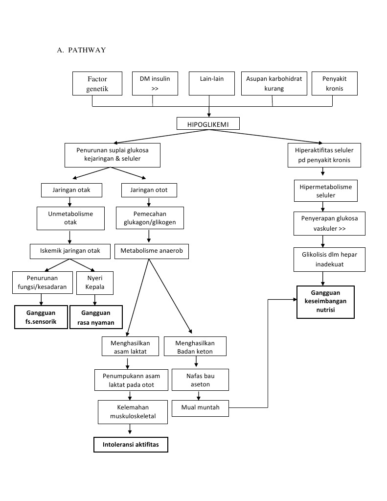 Pathway Hipoglikemia | PDF