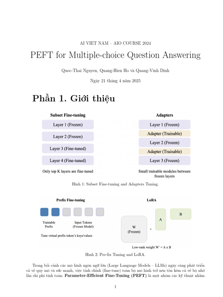 (Description) PEFT For MCQA | PDF
