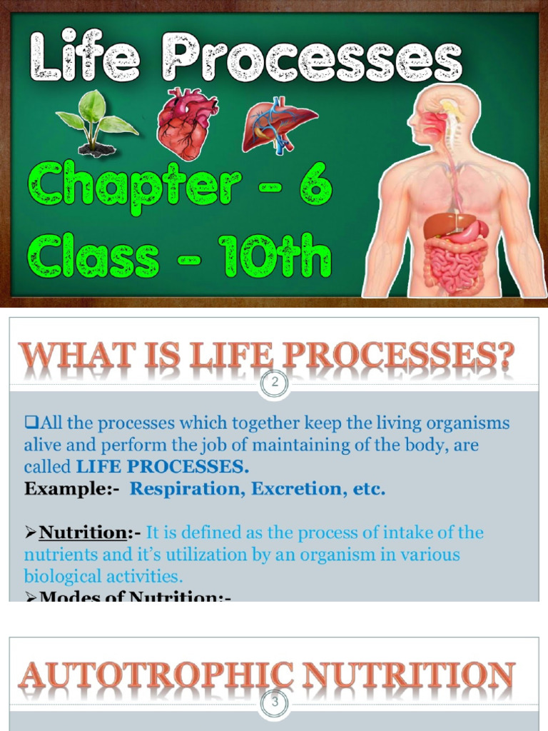 6 Life Processes Biology PPTX - 20250403 - 203020 - 0000 | PDF