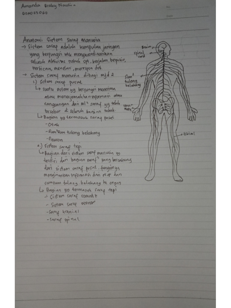 Amanda Rizky Naulia - G0A023060 | PDF