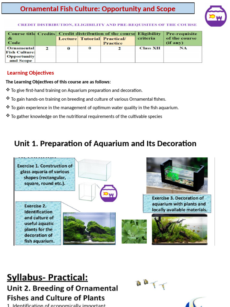 Ornamental Fish Culture | PDF | Aquarium | Fish And Humans