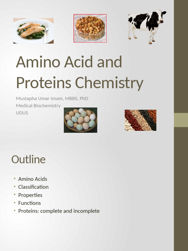 Amino Acids and Protein Chemistry Guide | PDF | Amino Acid | Proteins