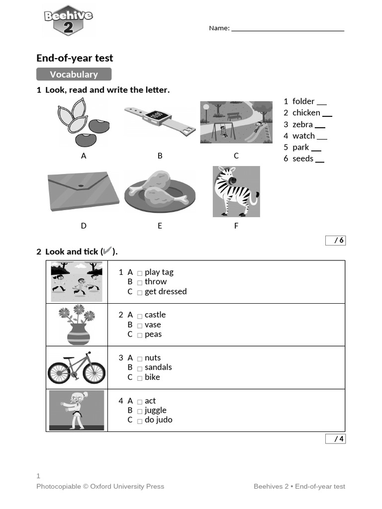 Beehive Tests Level 2 End of Year Test | PDF