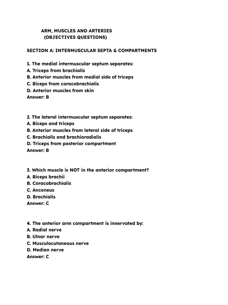 Arm Muscles and Nerves Overview | PDF | Arm | Elbow