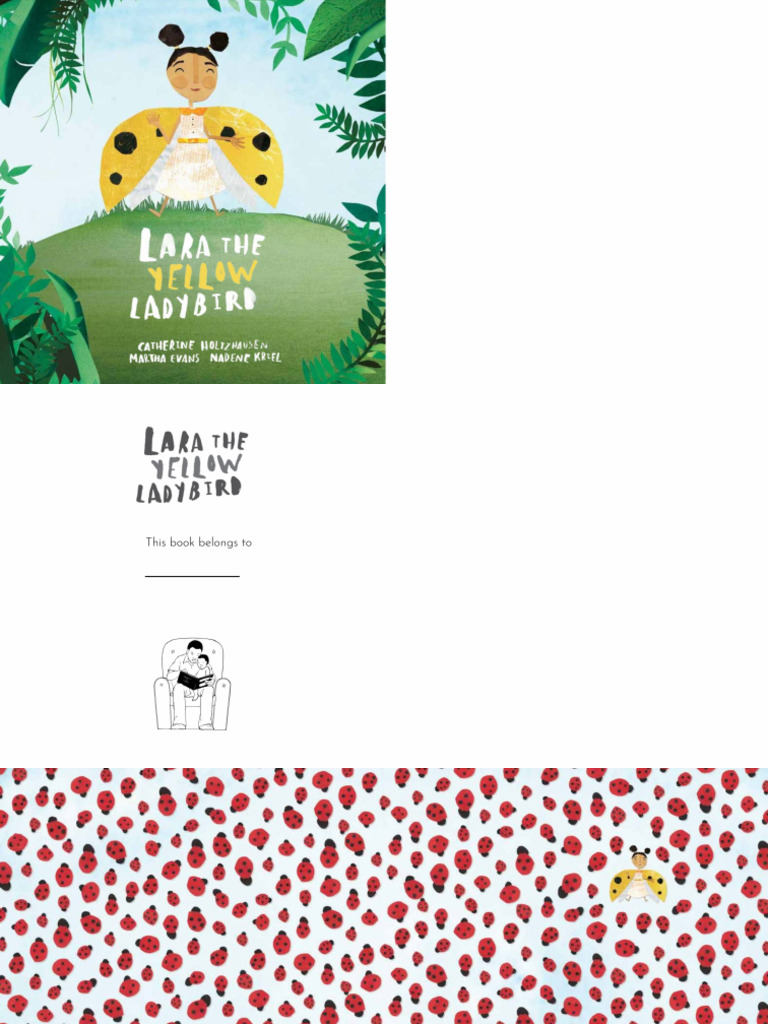 Lara, The Yellow Ladybird | PDF
