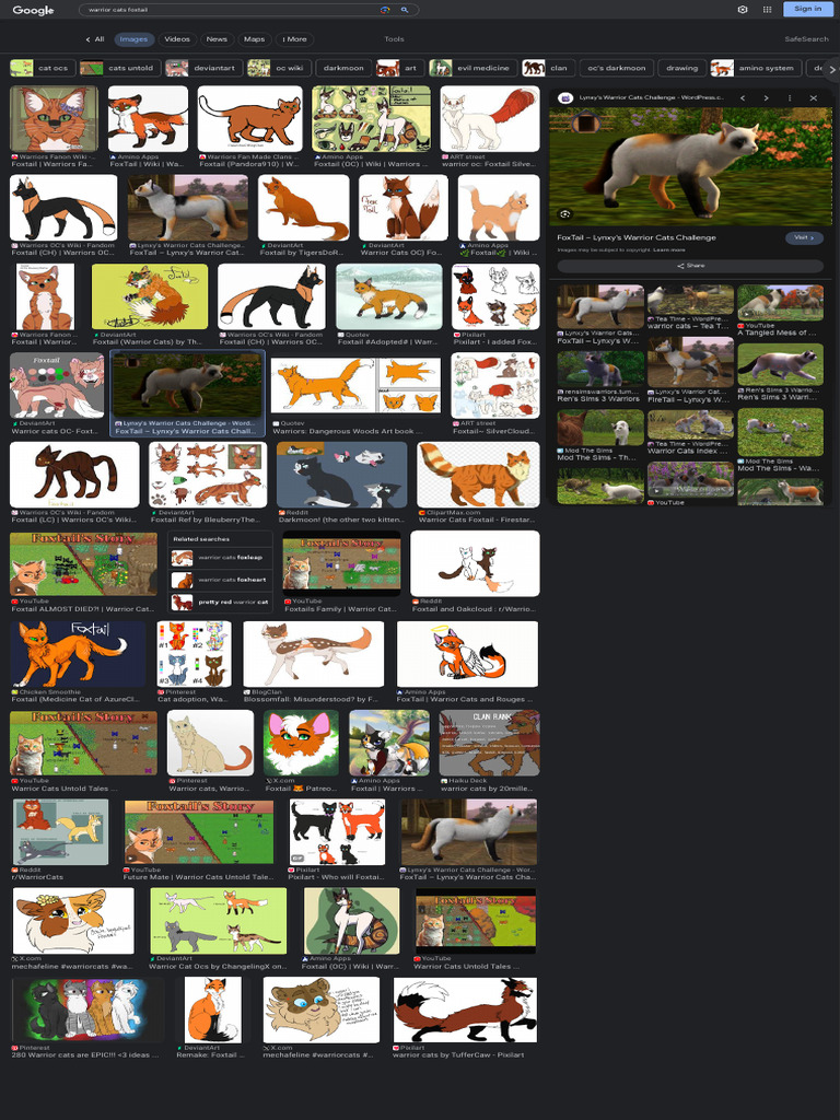 Warrior Cats Foxtail - Google Search | PDF