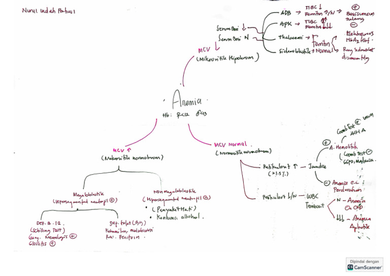 Nurul Indah Pratiwi - Mindmap hema | PDF