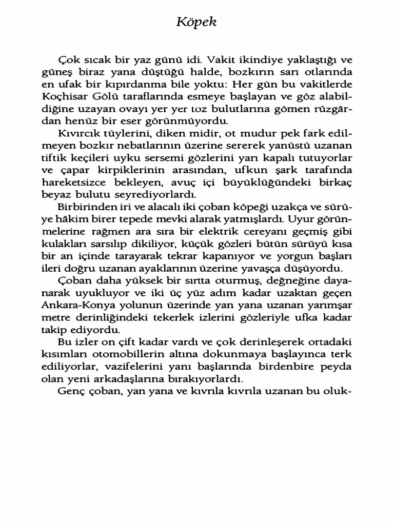 SAli Kopek | PDF