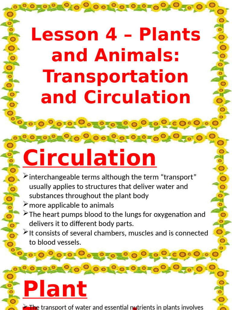 Lesson 4 Plants and Animals Transportation and Circulation | PDF ...
