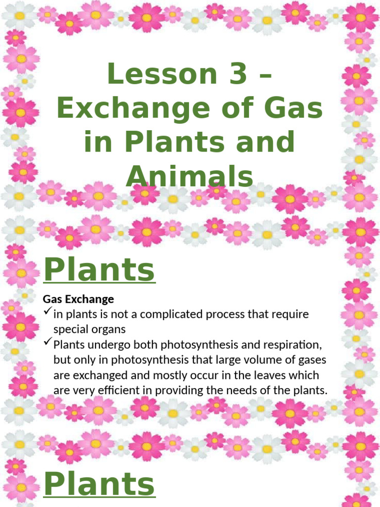 Gas Exchange Mechanisms in Animals | PDF | Stoma | Respiratory System