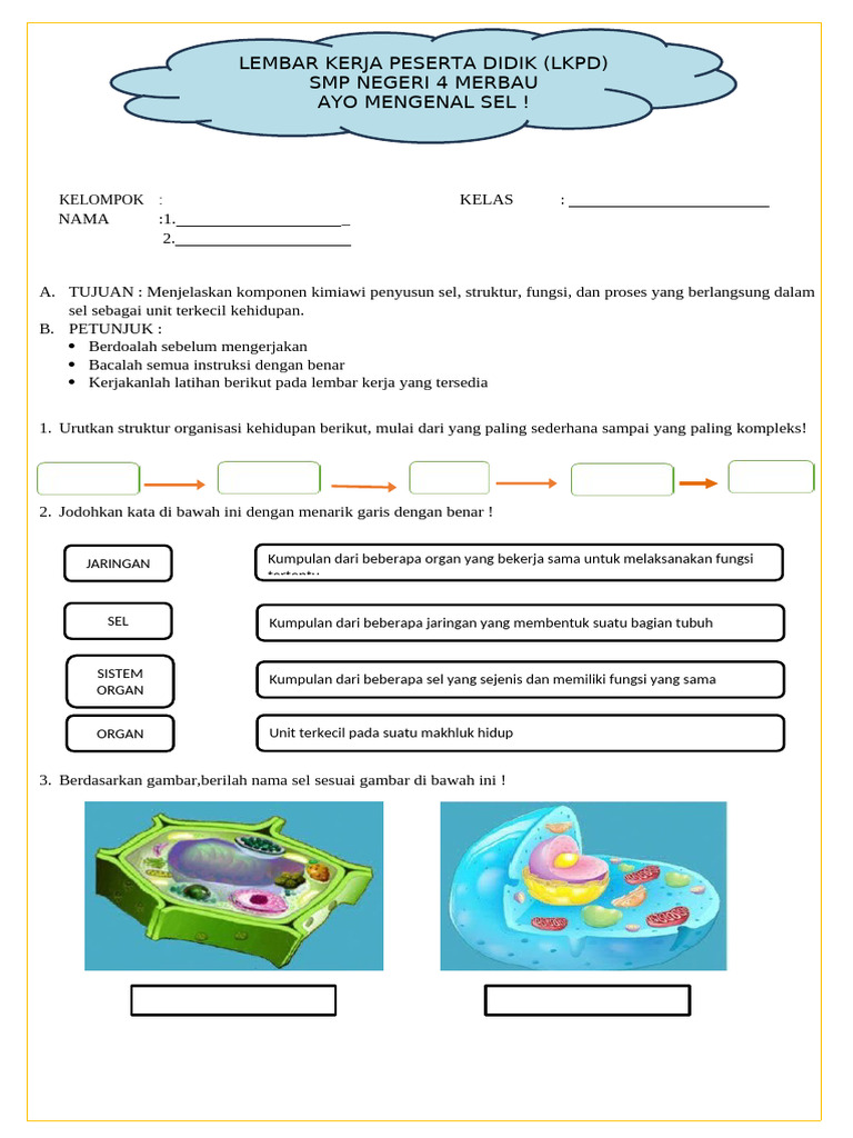 LKPD Pengenalan Sel | PDF