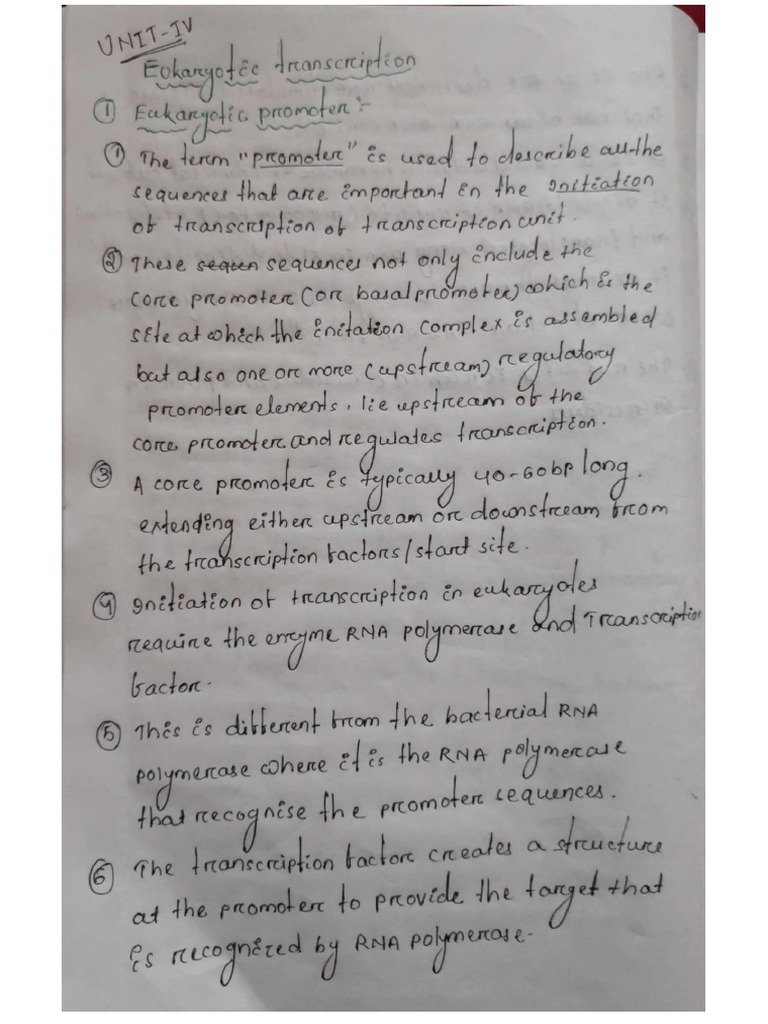 Molecular Biology Notes | PDF