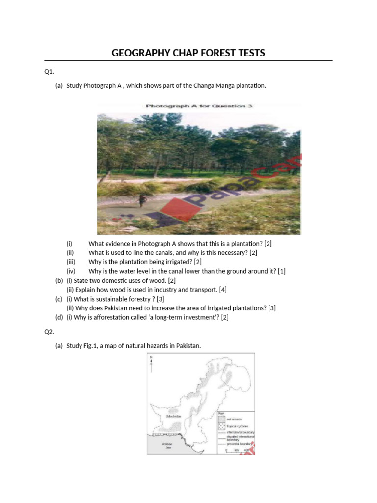 Geography Chap Forest Tests | PDF