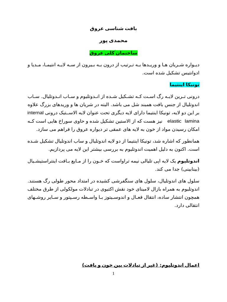 Internal Elastic Lamina | PDF