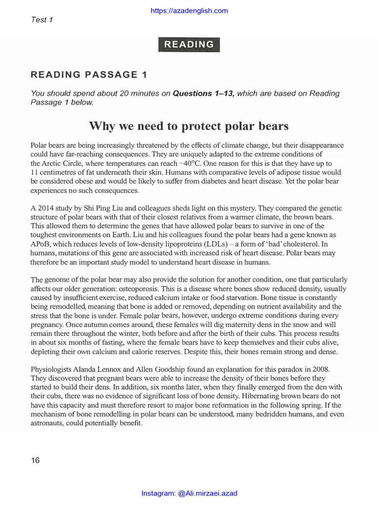 Why We Need To Protect Polar Bears: Reading Passage 1 | PDF | Polar ...