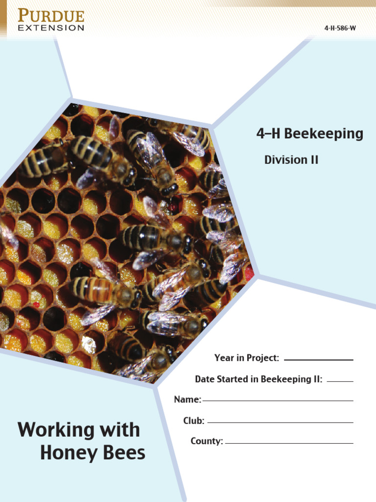 Working With Honey Bees: 4-H Beekeeping | PDF | Beekeeping | Beehive