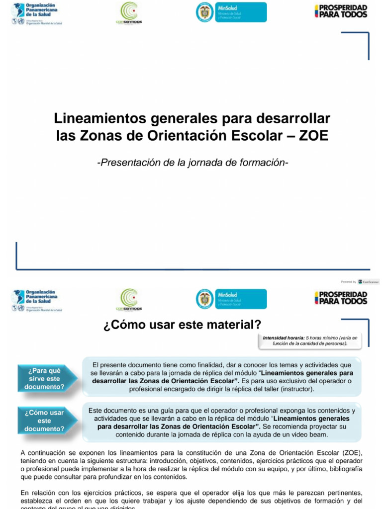 2presentacion-lineamientos-zoe | PDF