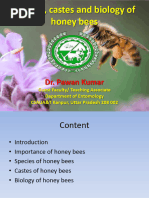 Beekeeping Training Manual | PDF | Honey Bee | Beehive