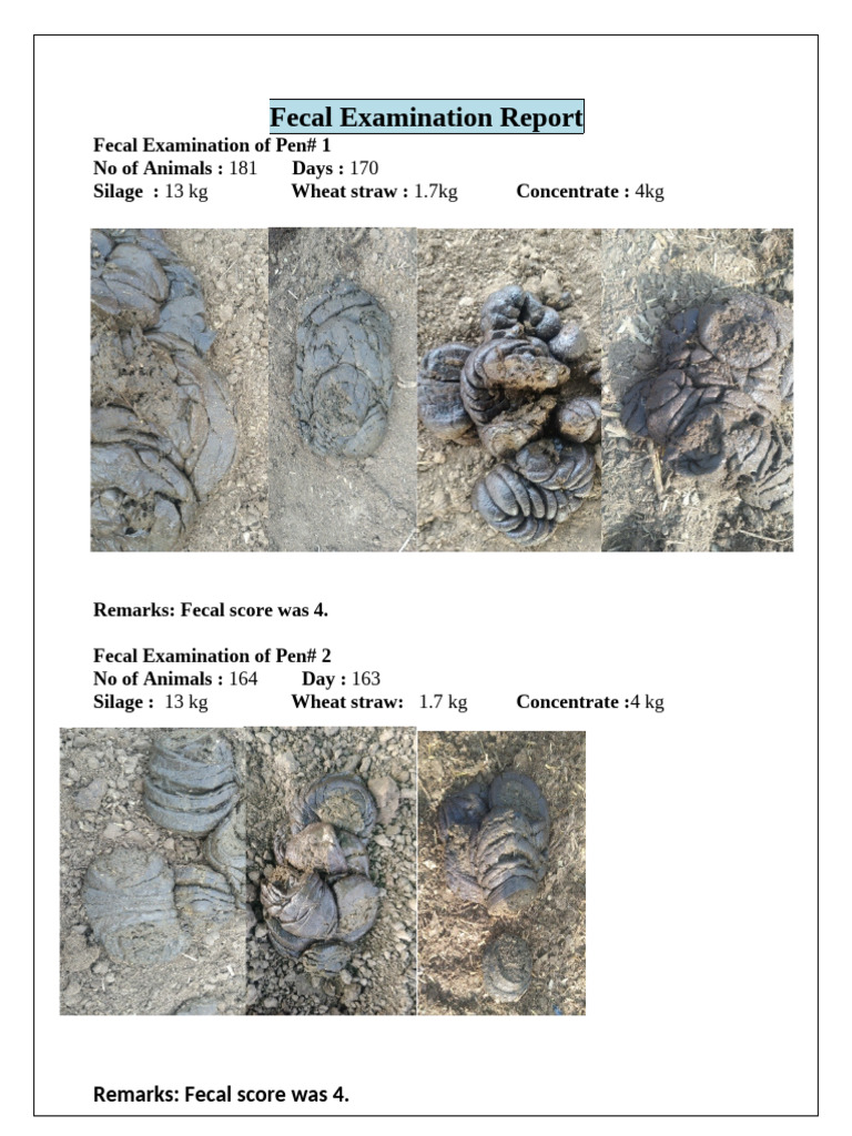 Fecal Examination Report Oasis Farm 03-04-2025 | PDF