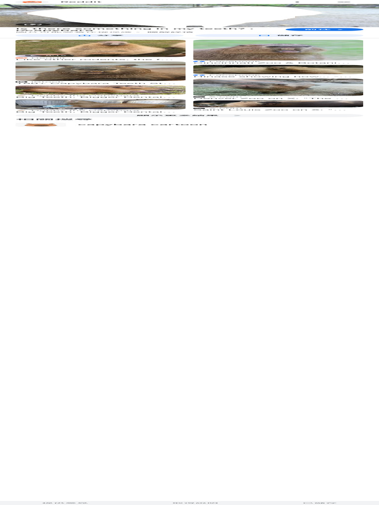 Capybara Teeth - Google 搜尋 | PDF