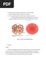 Hemoglobine-Structure Et Metabolisme - Pptés | PDF | Hémoglobine | Chimie