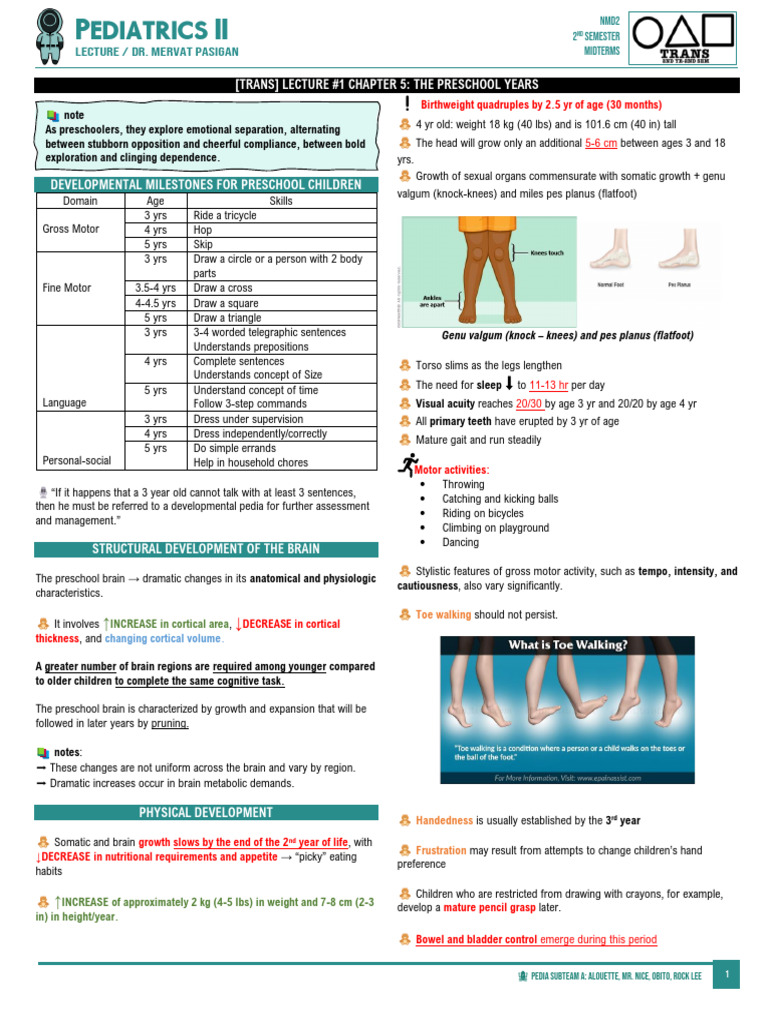 -Trans- Pedia #1(a) Midterms - The Preschool Years (Dr. Pasigan) | PDF | Language Development ...