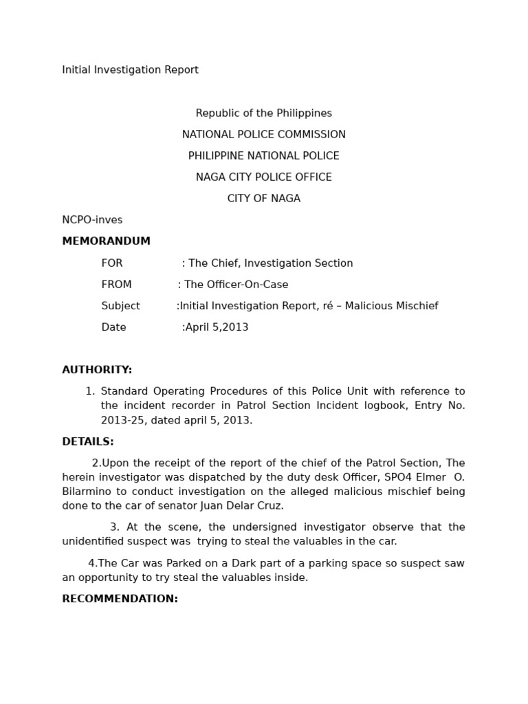 INITIAL INVESTIGATION REPORT | PDF