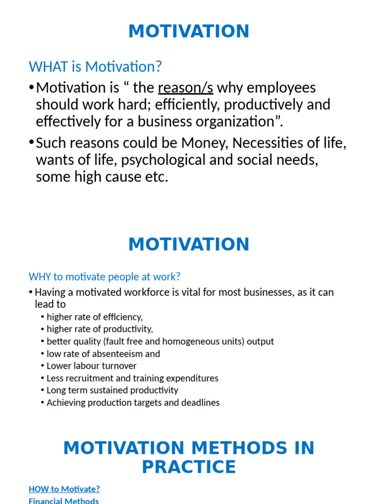 Effective Employee Motivation Strategies | PDF | Motivation | Motivational