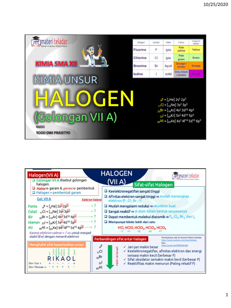 Halogen | PDF