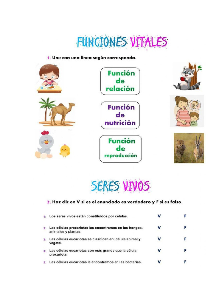 Actividad de Ciencia y Tecnologia 3er Grado 03-04-25 de Los Seres Vivos ...