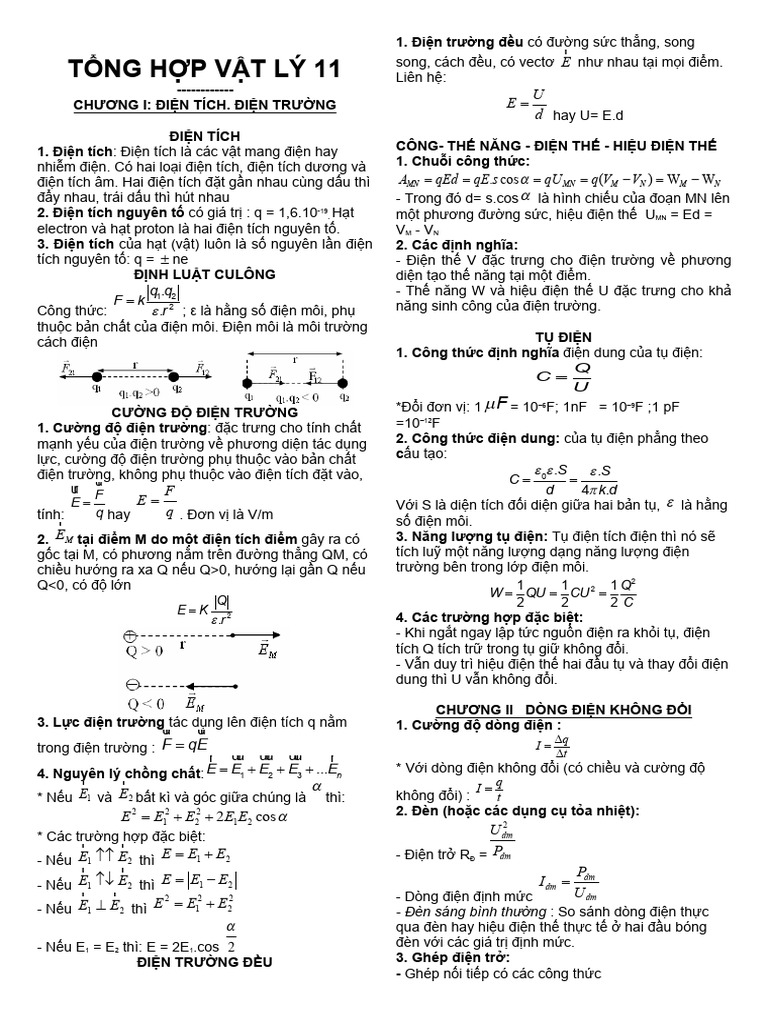Tổng Hợp VLy 11 (Trọng Tâm) + NLXH Hư NG M + NG Pháp TA | PDF