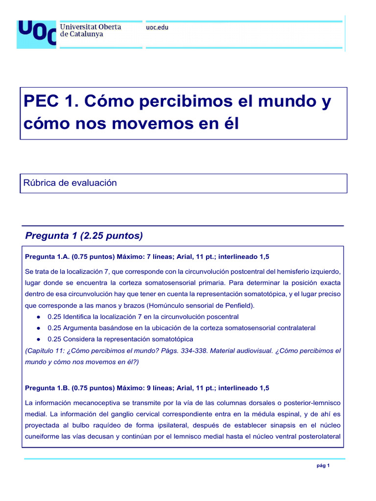 80.241 PEC1 Respuestas 20242-1 | PDF | Neurociencia | Ciencia cognitiva