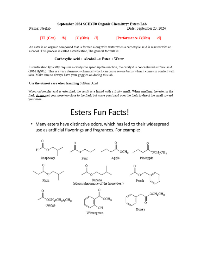 Grade 12 Bio Worksheet On Esters | PDF | Ester | Chemical Compounds