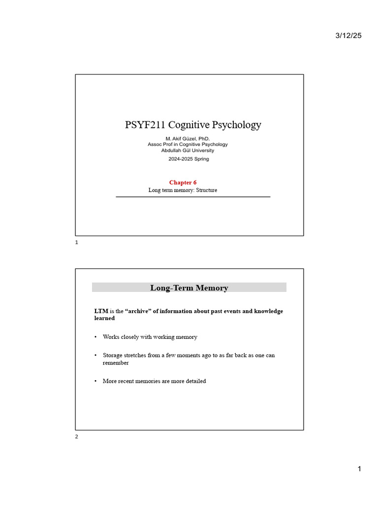 Coding Types in Long-Term Memory | PDF | Long Term Memory | Memory