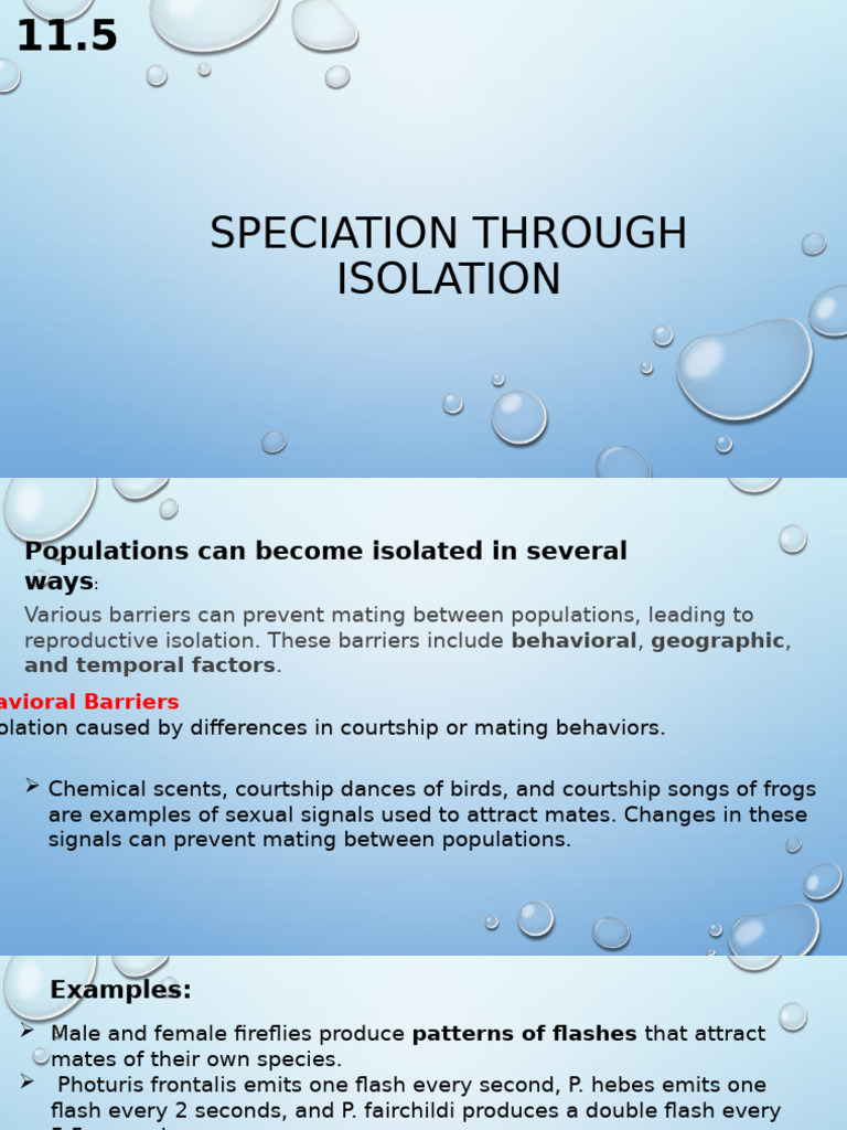 11.5 Part 2 | PDF
