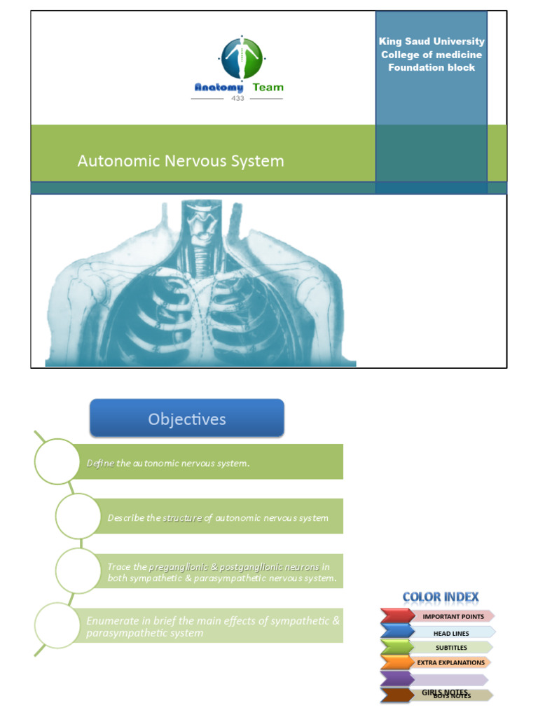 5 - Autonomic Nervous System | PDF | Autonomic Nervous System ...