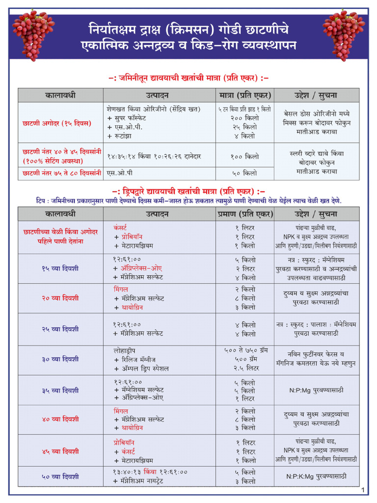 Grapes - Creamson - Nashik | PDF