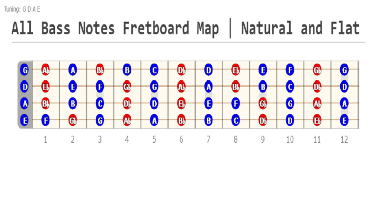 All Bass Notes Fretboard Map | PDF