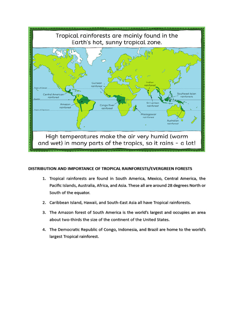 Importance of Tropical Rain Forests | PDF | Rainforest | Forests