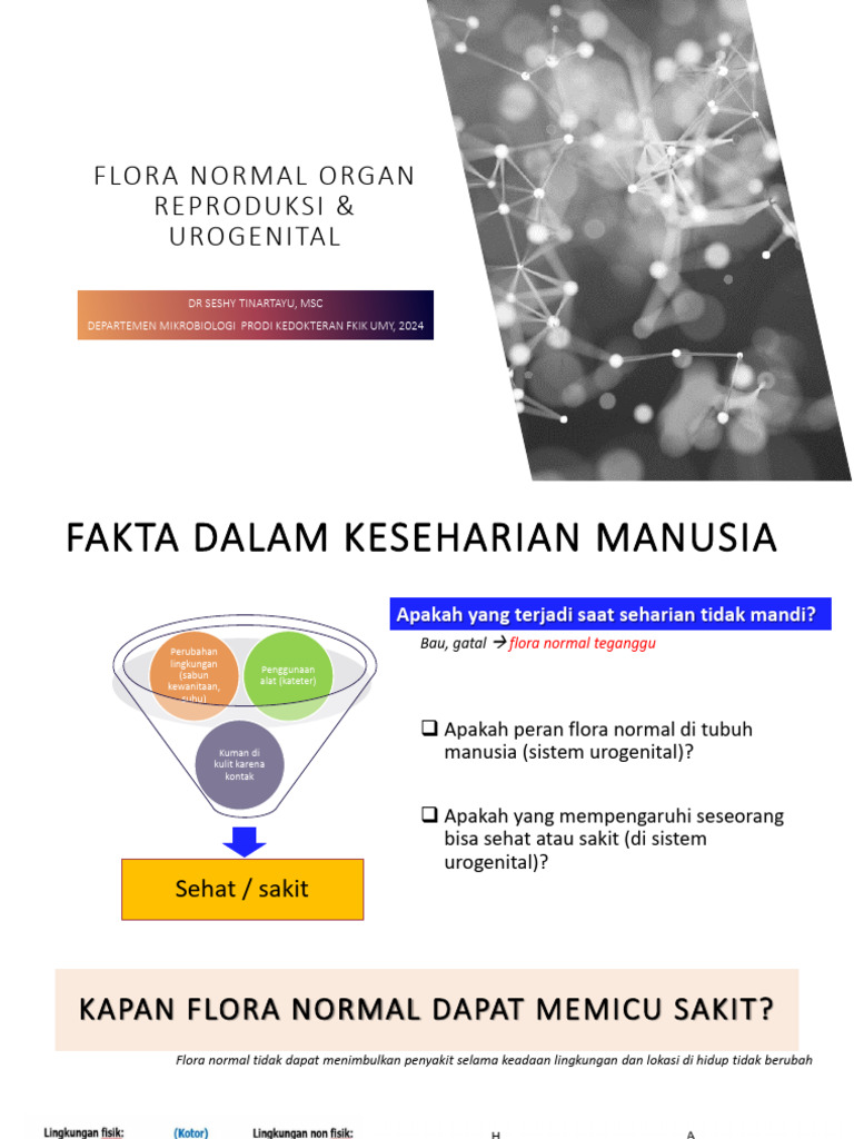 Peran Flora Normal Urogenital | PDF